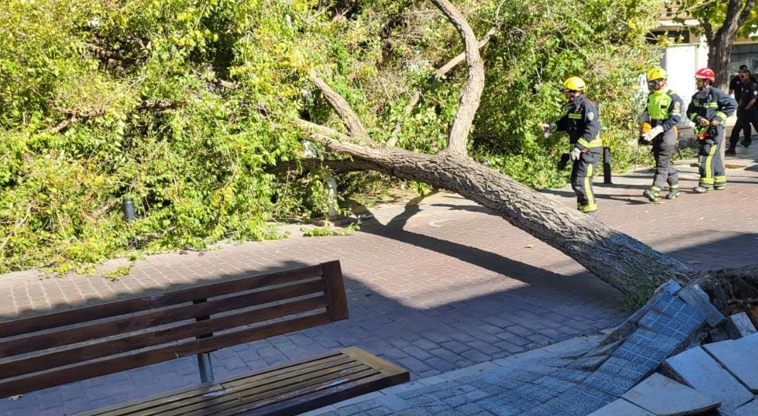 El fuerte viento provoca lesiones graves – Contacto Cultura