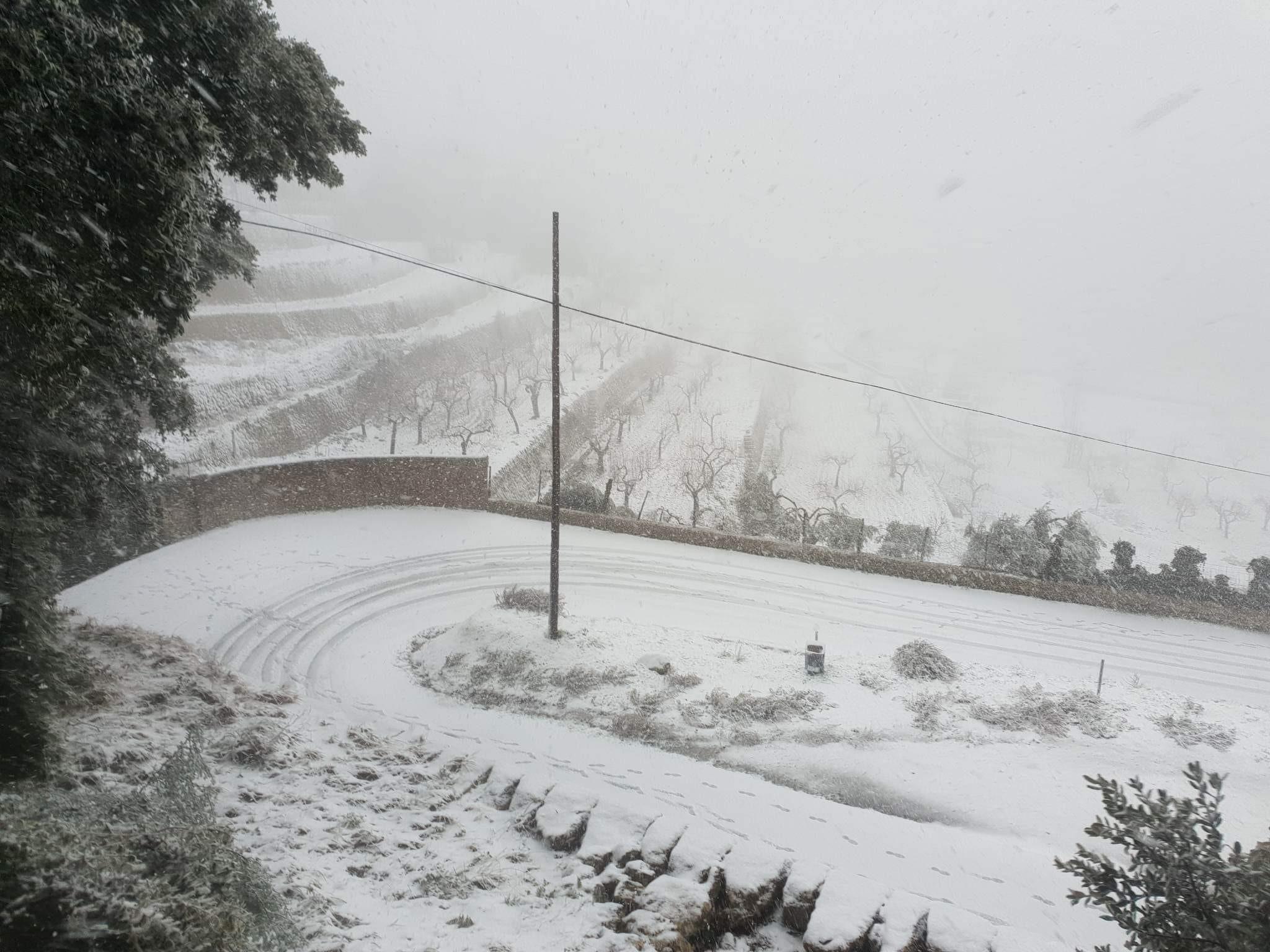 Photo gallery: See our latest photo gallery of the snow in Mallorca