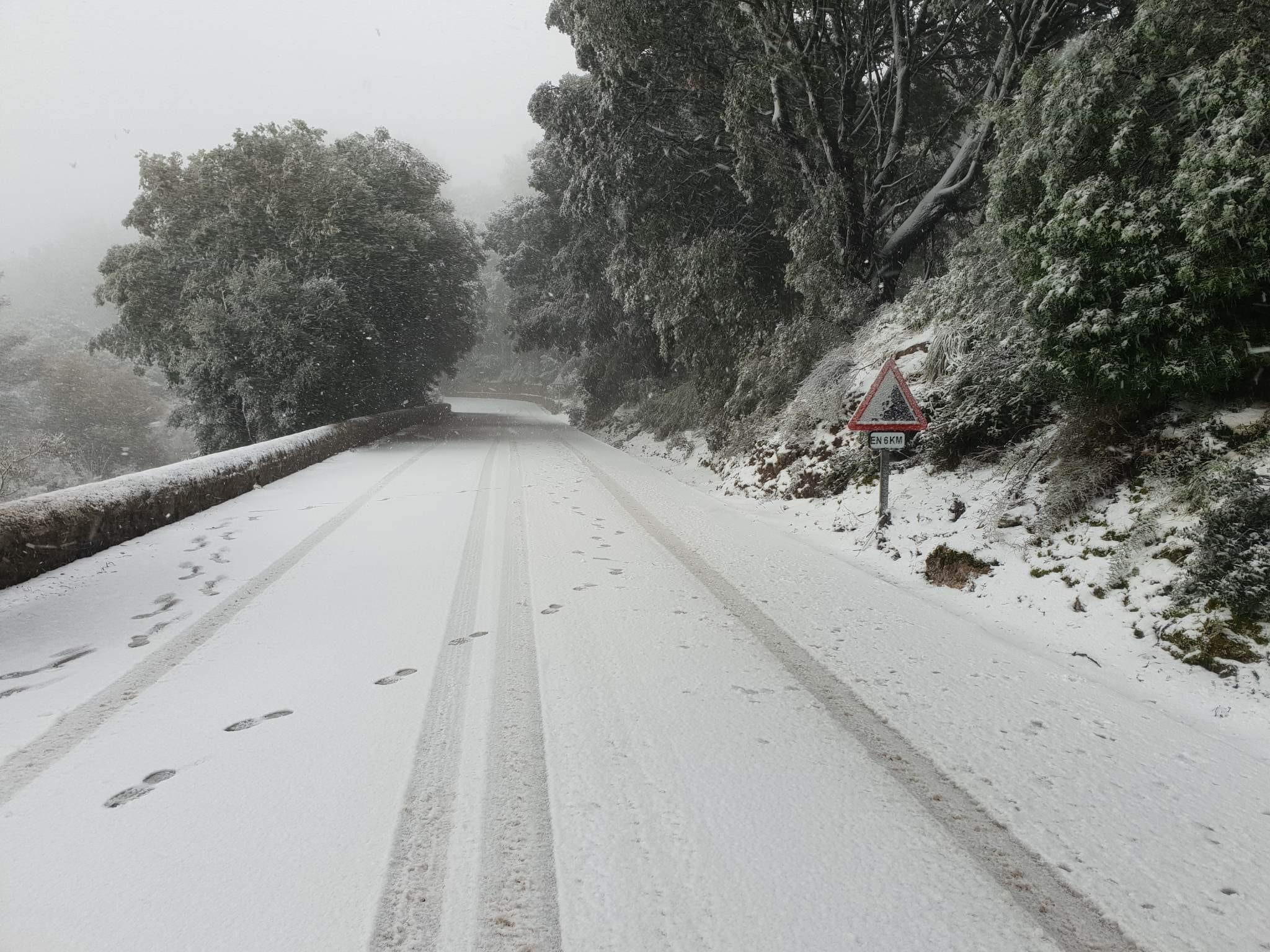 Photo gallery: See our latest photo gallery of the snow in Mallorca