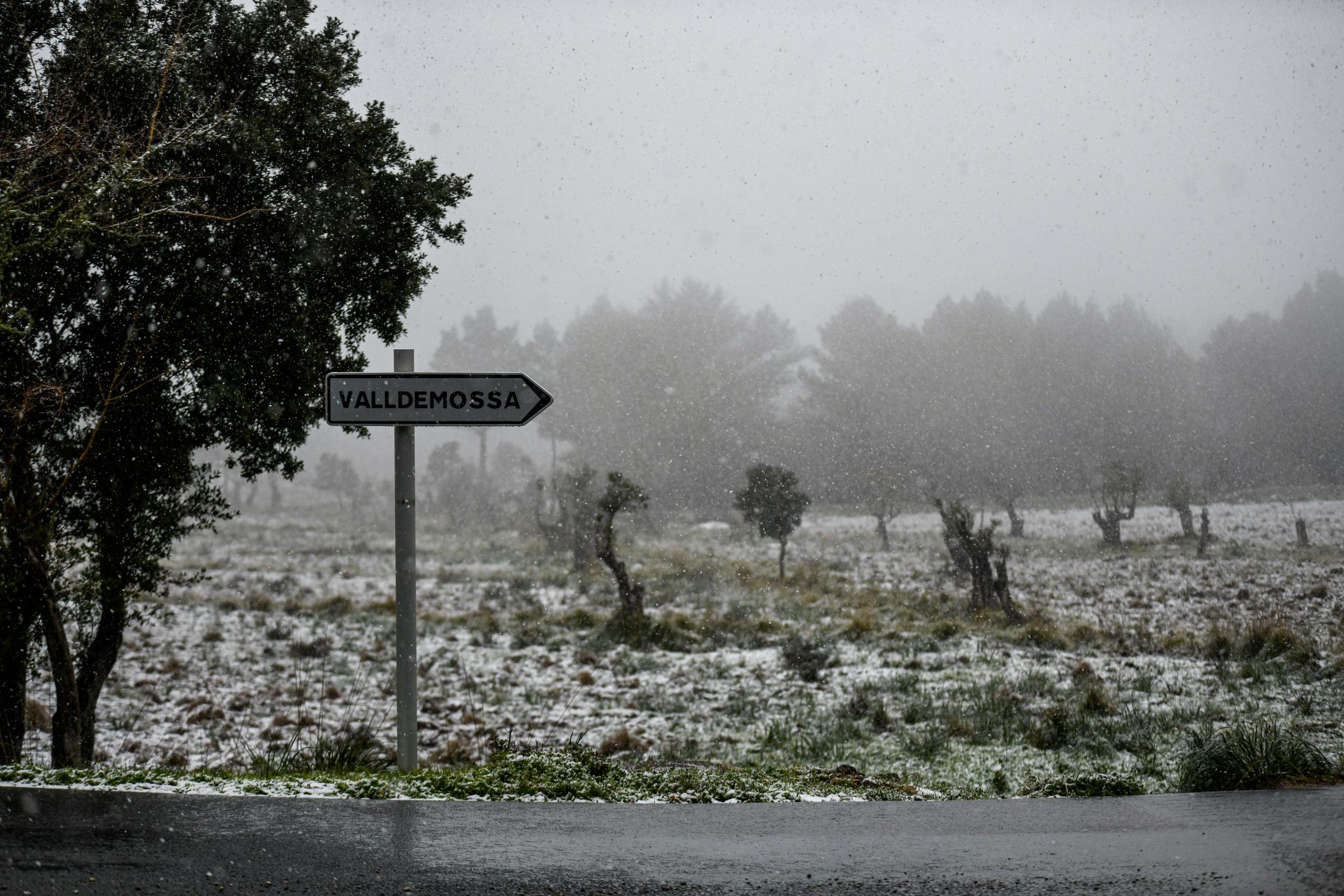 Photo gallery: See our latest photo gallery of the snow in Mallorca