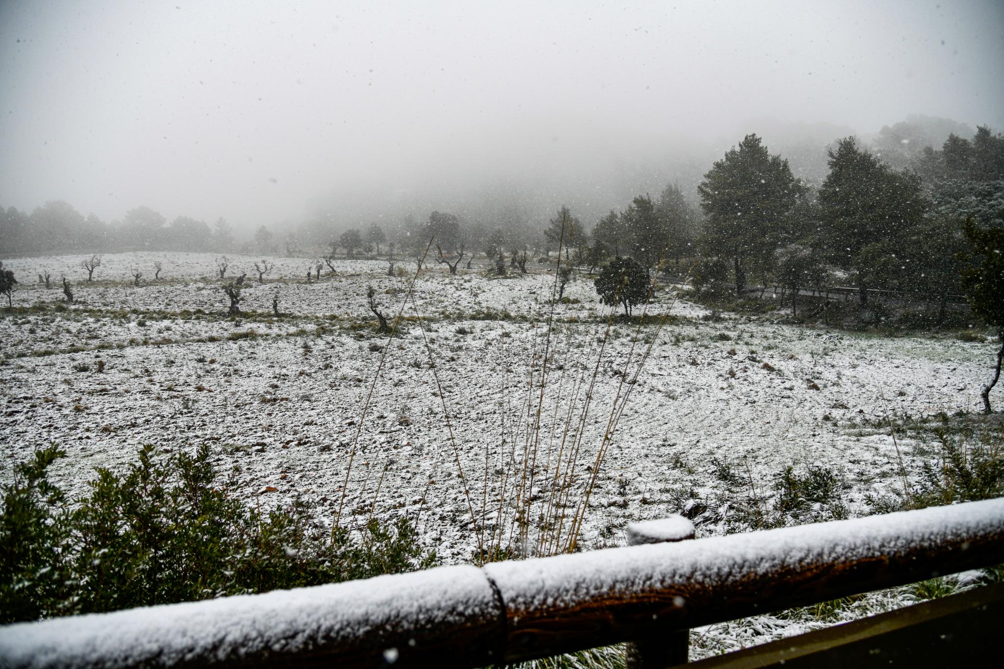 Photo gallery: See our latest photo gallery of the snow in Mallorca