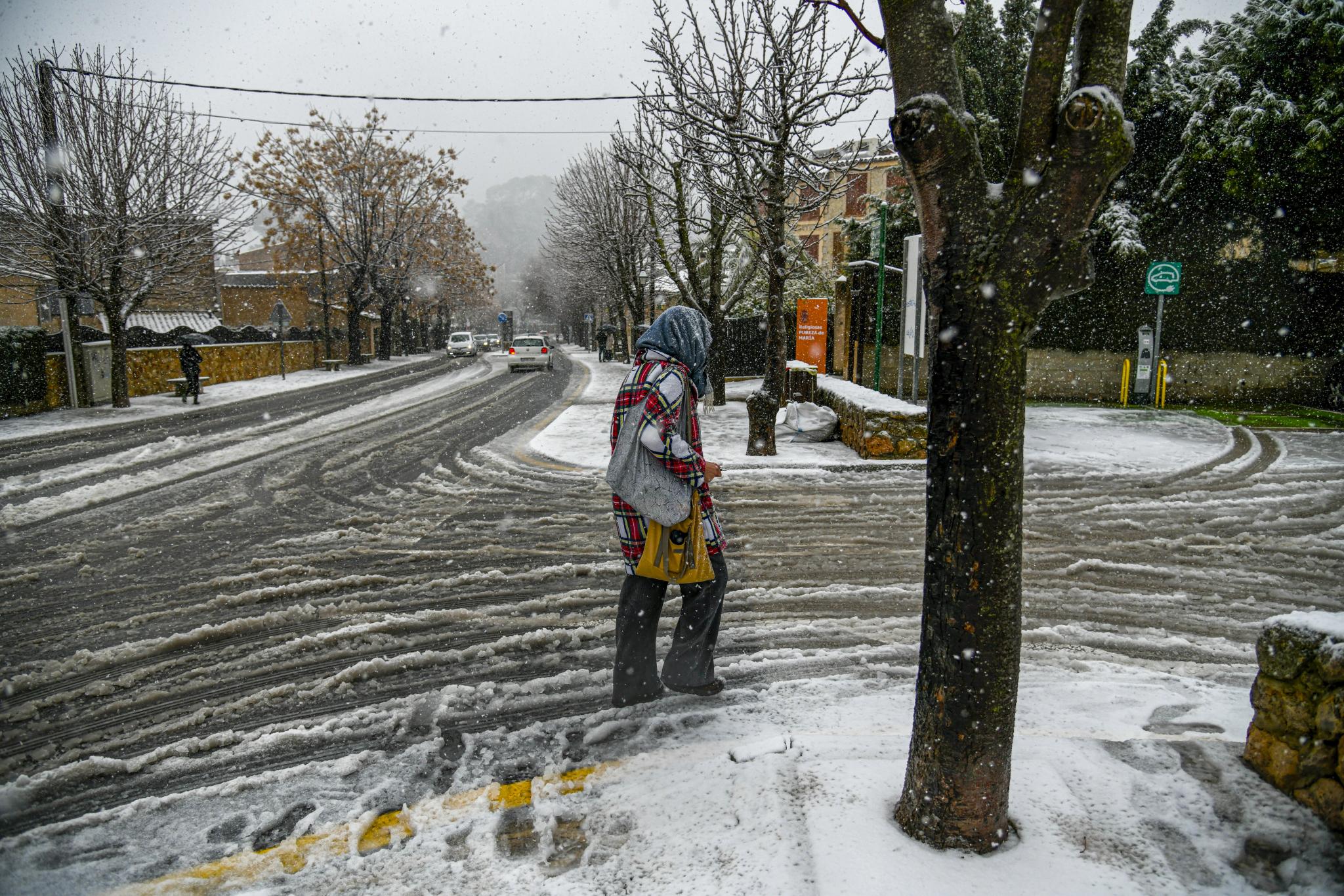 Photo gallery: See our latest photo gallery of the snow in Mallorca