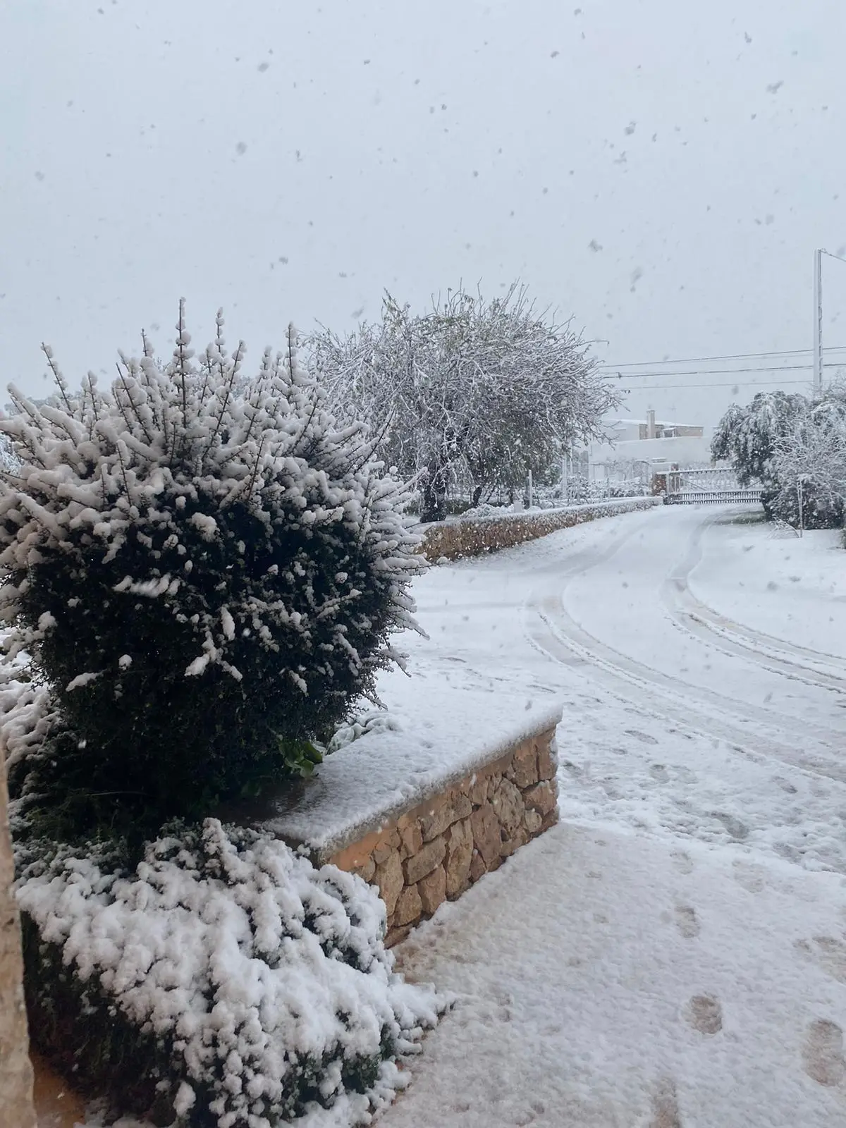 Photo gallery: Your snow pictures from February 2023