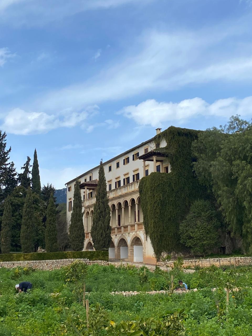 Things to do in Mallorca: A visit to Raixa for the new exhibition