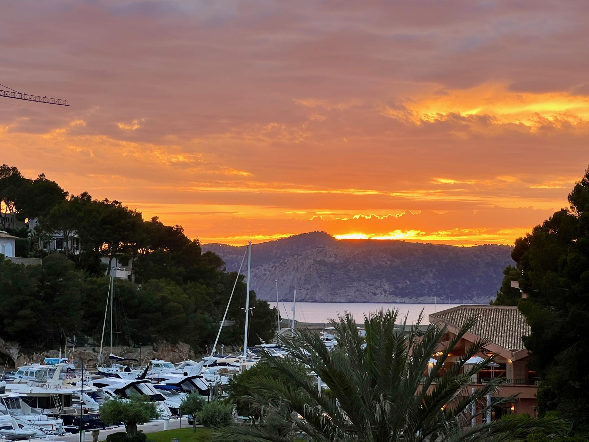 Photo gallery: Your Mallorcan sunsets
