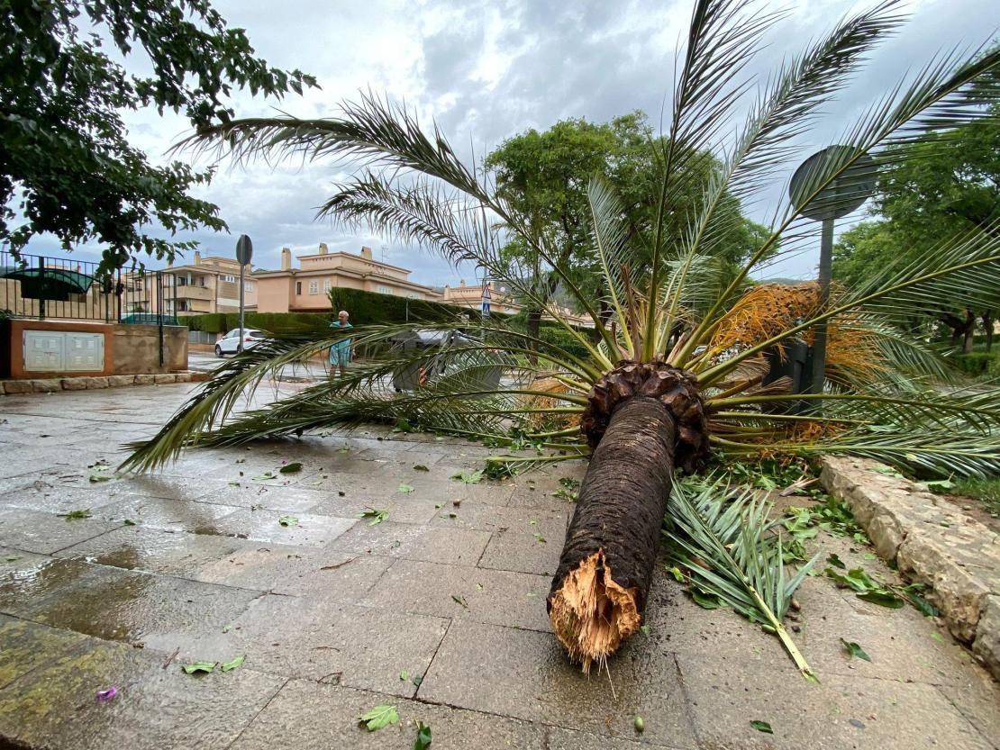 Photo gallery: The storm that battered Mallorca on Sunday
