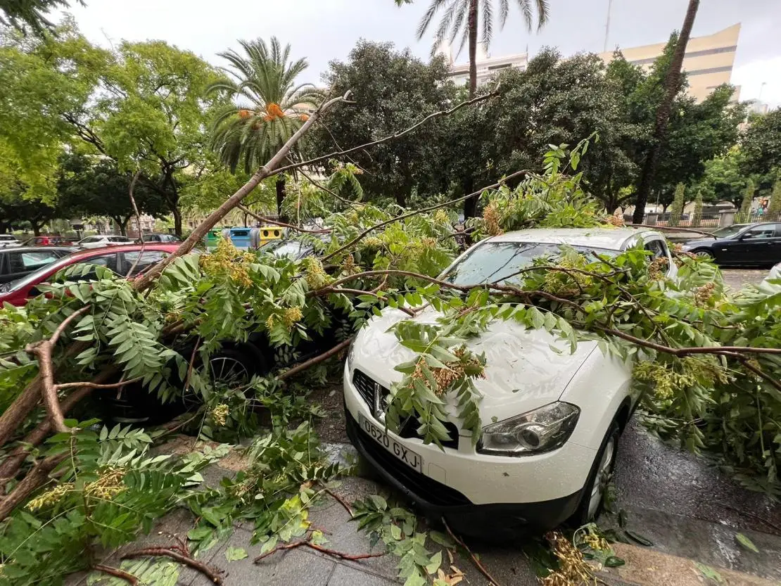 Photo gallery: The storm that battered Mallorca on Sunday
