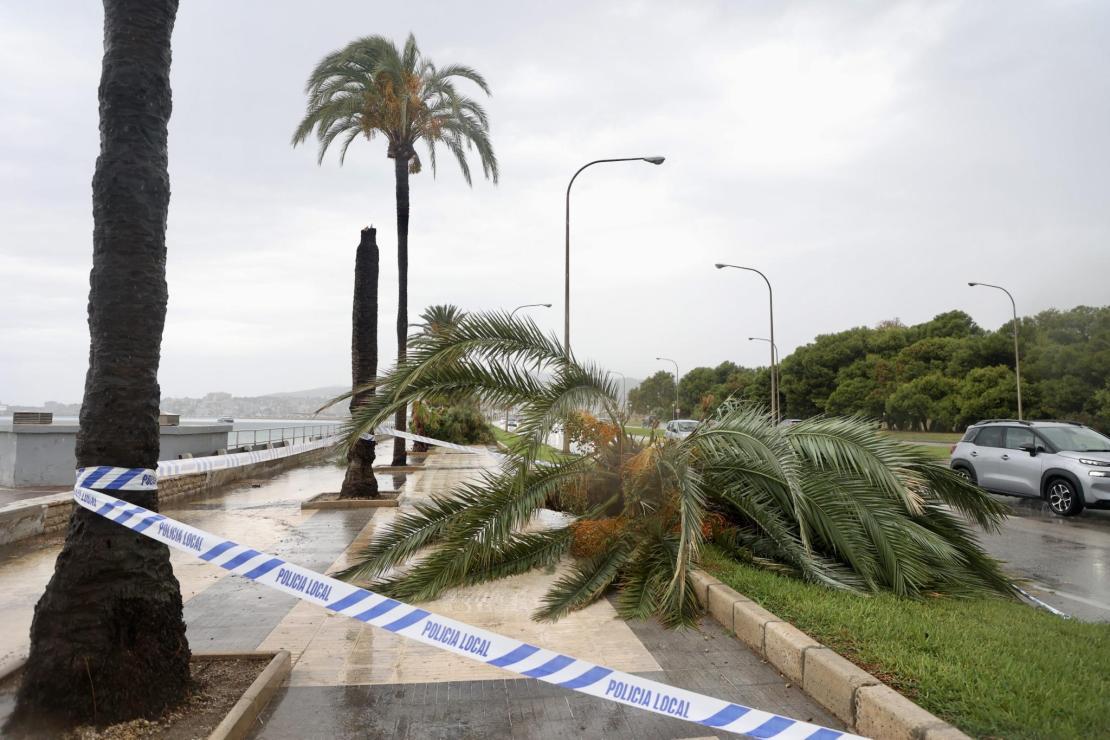 Photo gallery: The storm that battered Mallorca on Sunday