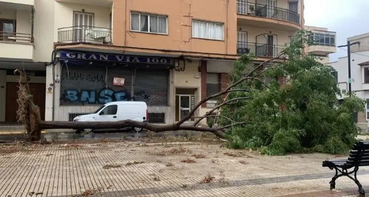 Photo gallery: The storm that battered Mallorca on Sunday