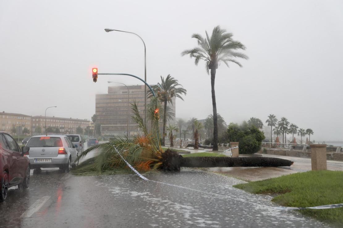 Photo gallery: The storm that battered Mallorca on Sunday