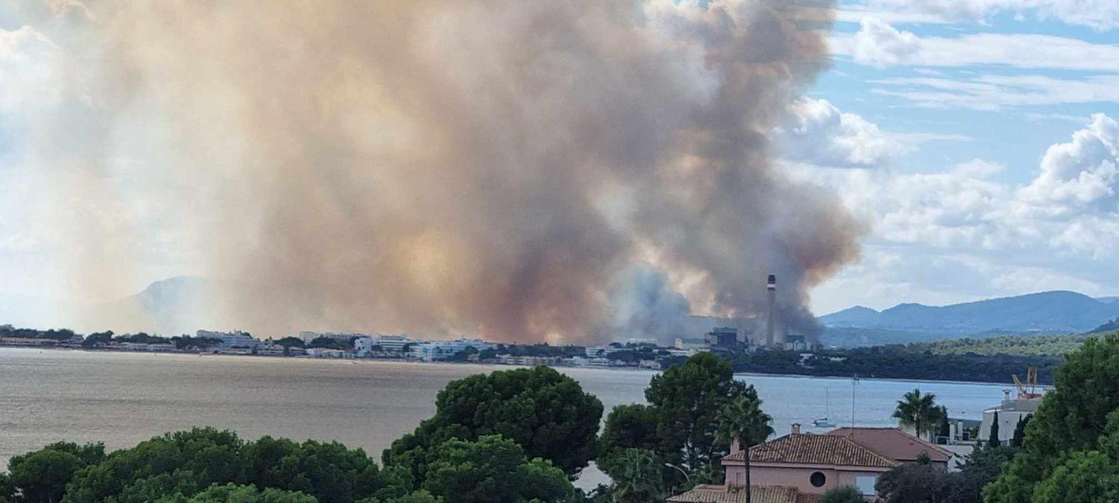 Mallorca fires: Fire in Albufera, Sa Pobla