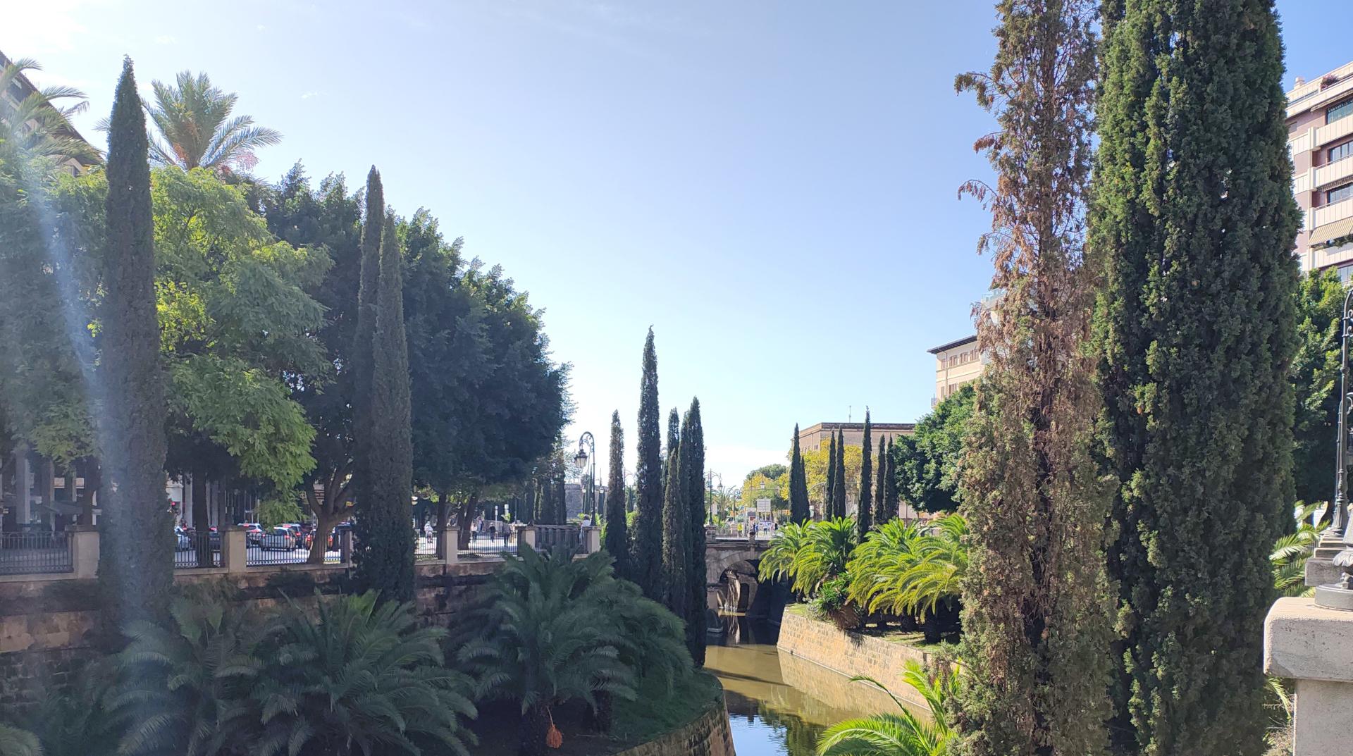 Mallorca weather: Palma returns to normal: Cemeteries, parks and ...