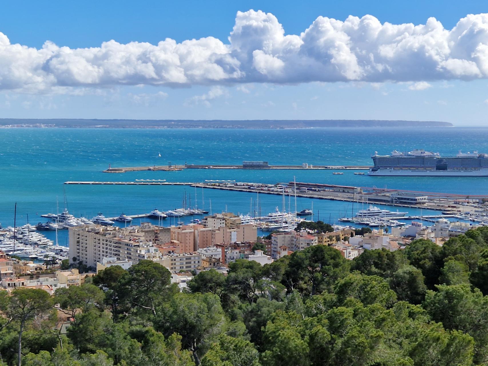 Mallorca Ships | Find out which ships are in Palma's port today