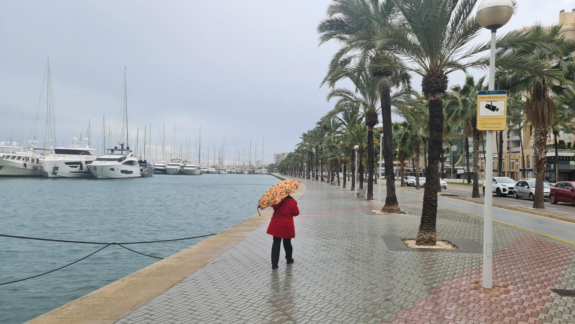 Mallorca weather for Saturday, 1 February 2025