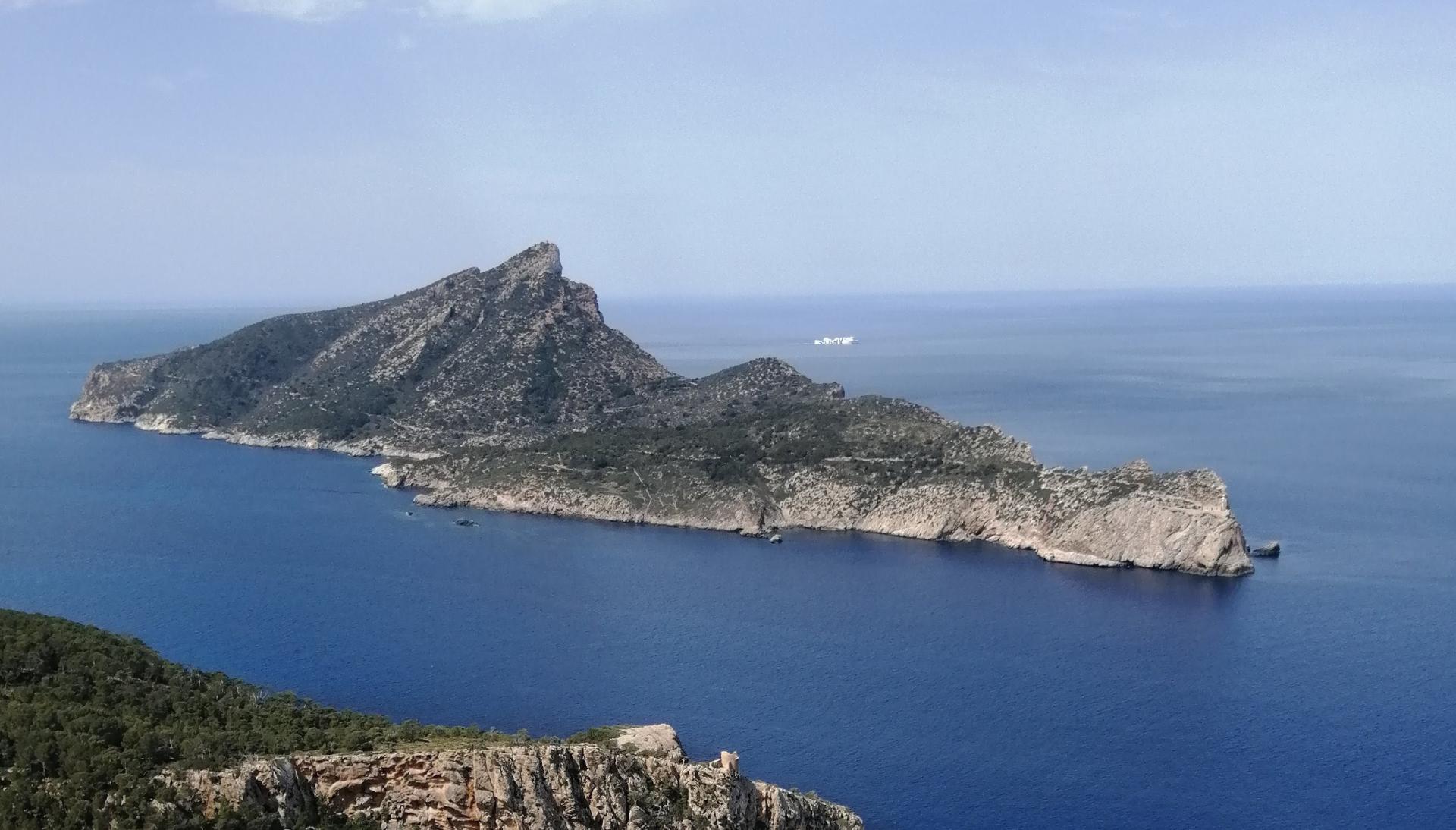 Mallorca snakes: Balearics island wages war on horseshoe snake: Oxford ...