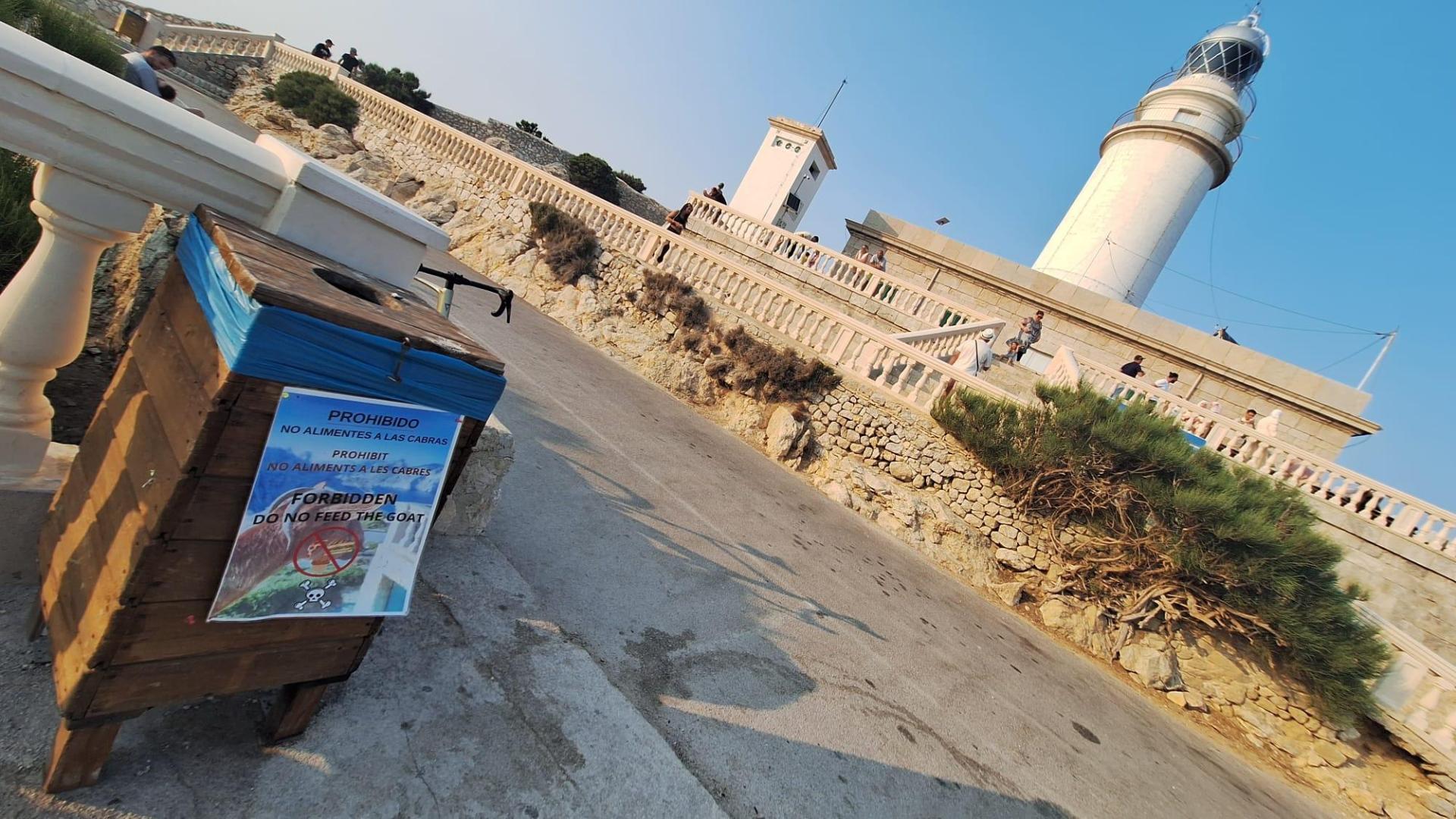Mallorca S Formentor Lighthouse Offers Epic Views And Some Four Legged
