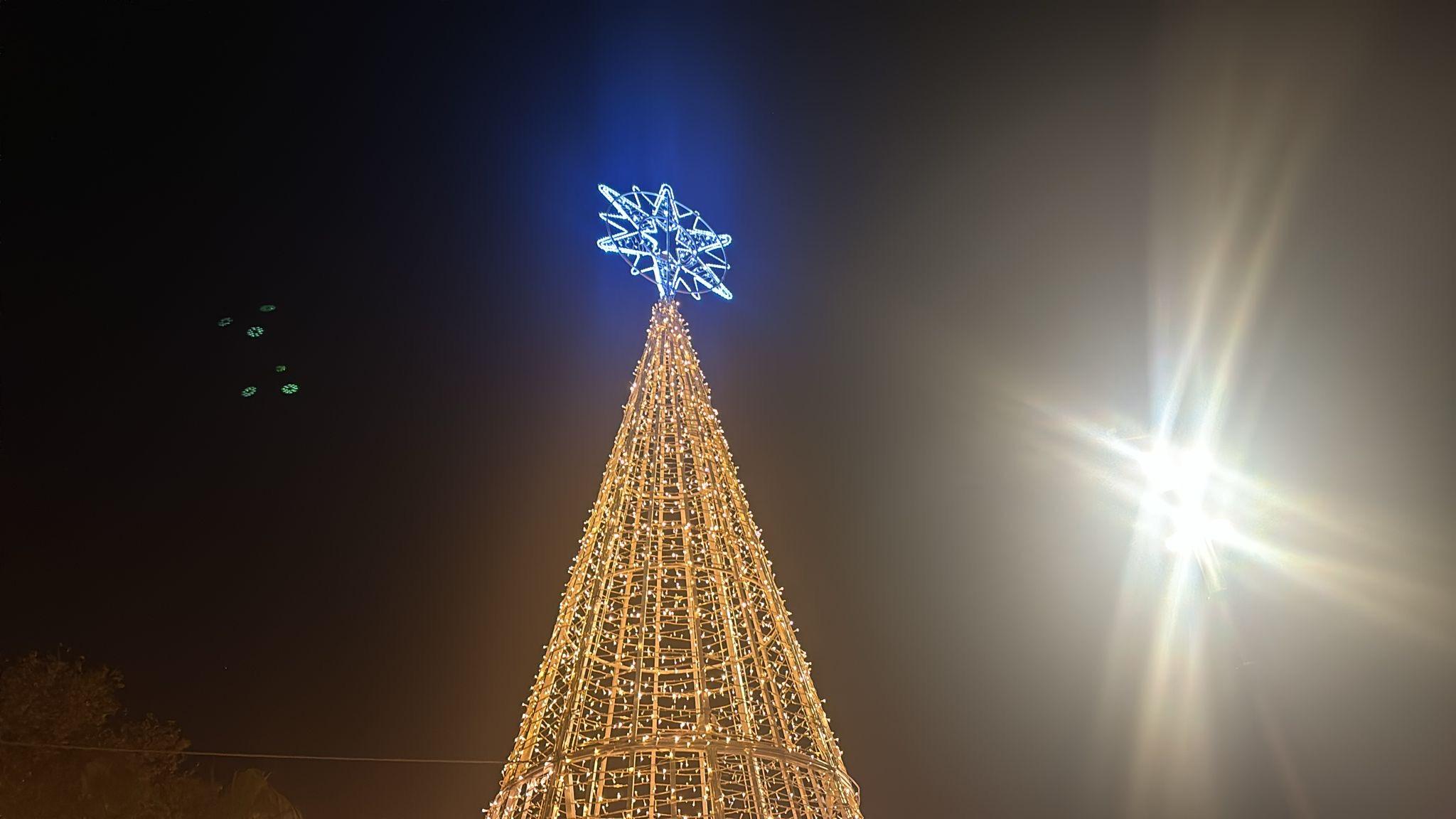 Photo gallery: Palma lights up for Christmas