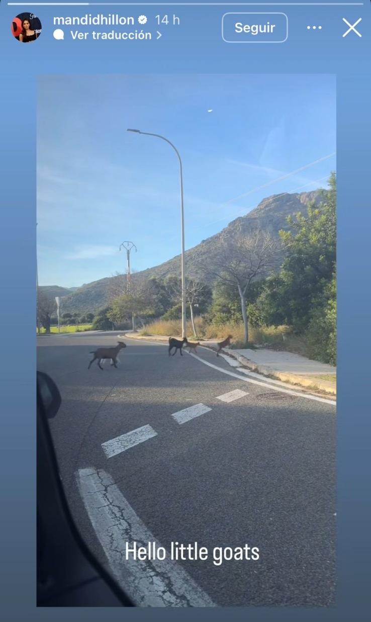 Pierce Brosnan and Tom Hardy head to Pollensa in Guy Richie productiuon