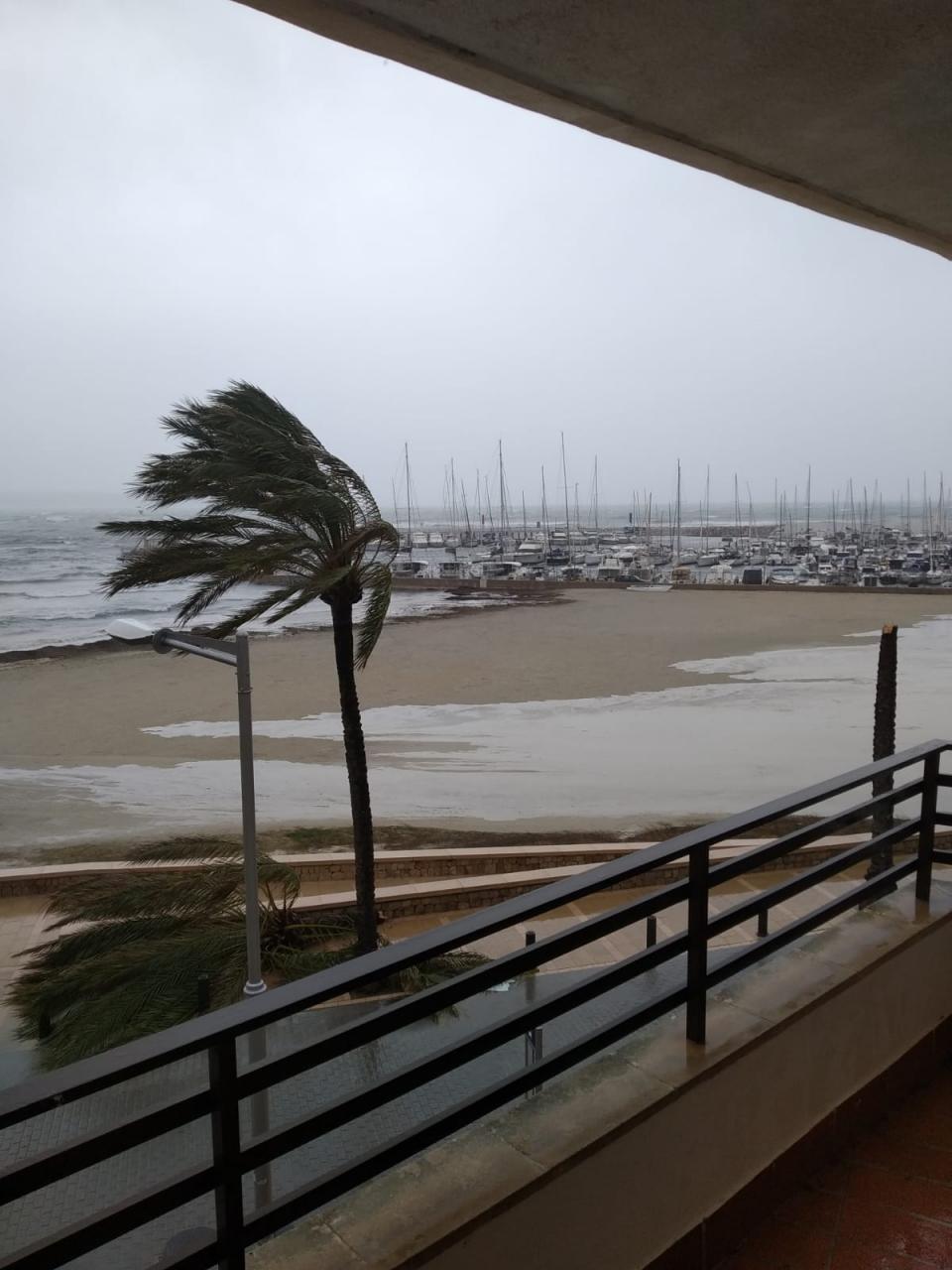 Mallorca weather for Thursday, February 12 - Amber warnings for wind ...