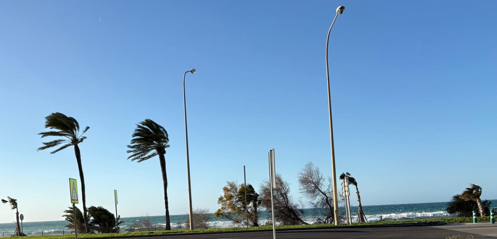 Mallorca weather for Sunday, February 15