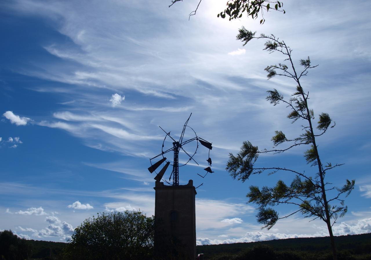 Mallorca weather for Wednesday, February 18 - Storm Pedro on Thursday