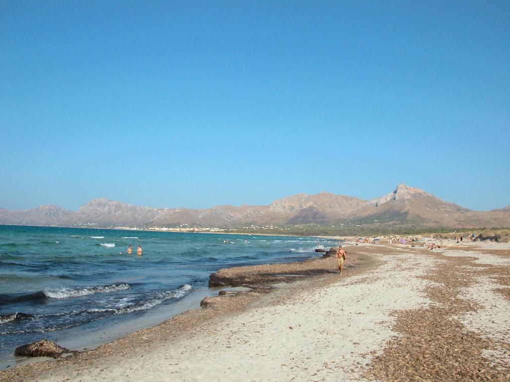 The Mallorca municipality seeking compensation for protecting beaches ...