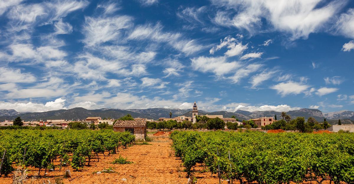 New controversy over battery storage plant in Mallorca