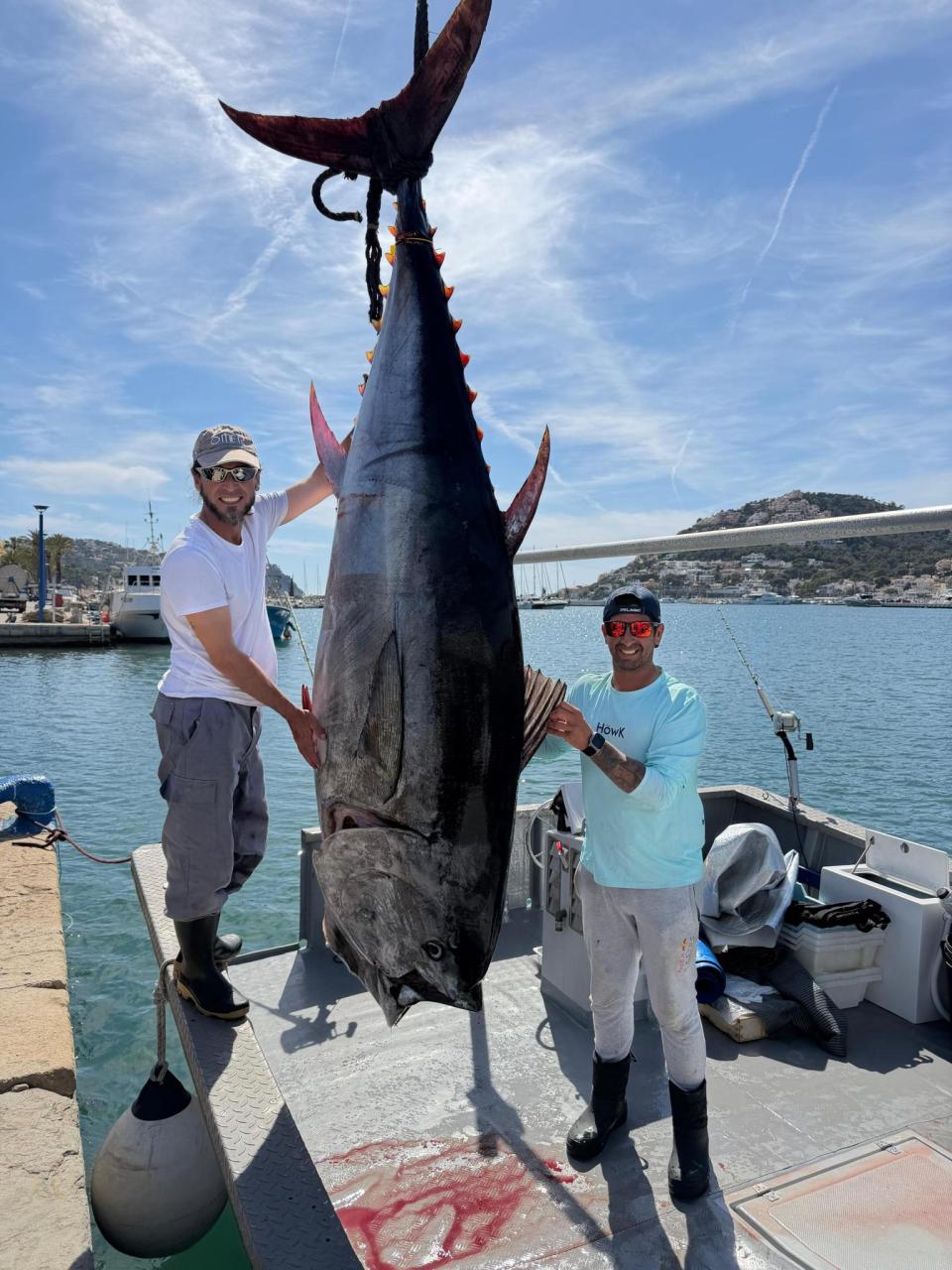Almost 300kg bluefin tuna caught in Mallorca