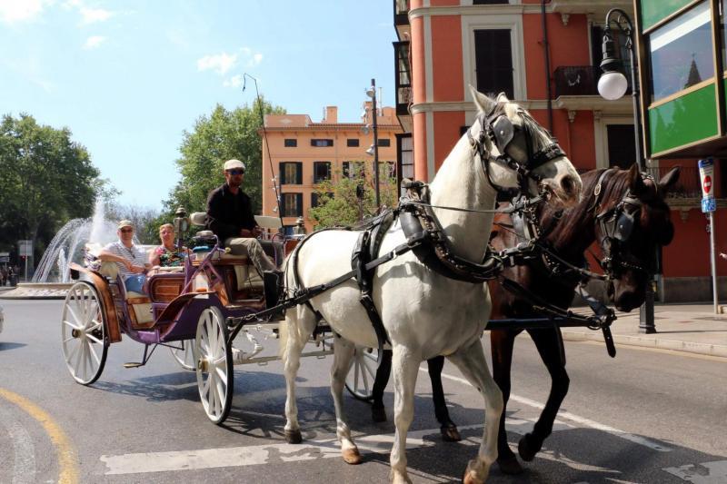 Spain shocker: Balearic High Court overturns the regulation banning the ...