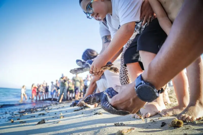 Balearics joins more than 100 Spanish coastal regions in the ...