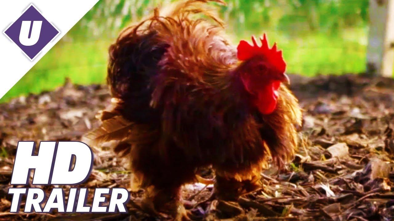 Video: The Biggest Little Farm (2019) - Official Trailer