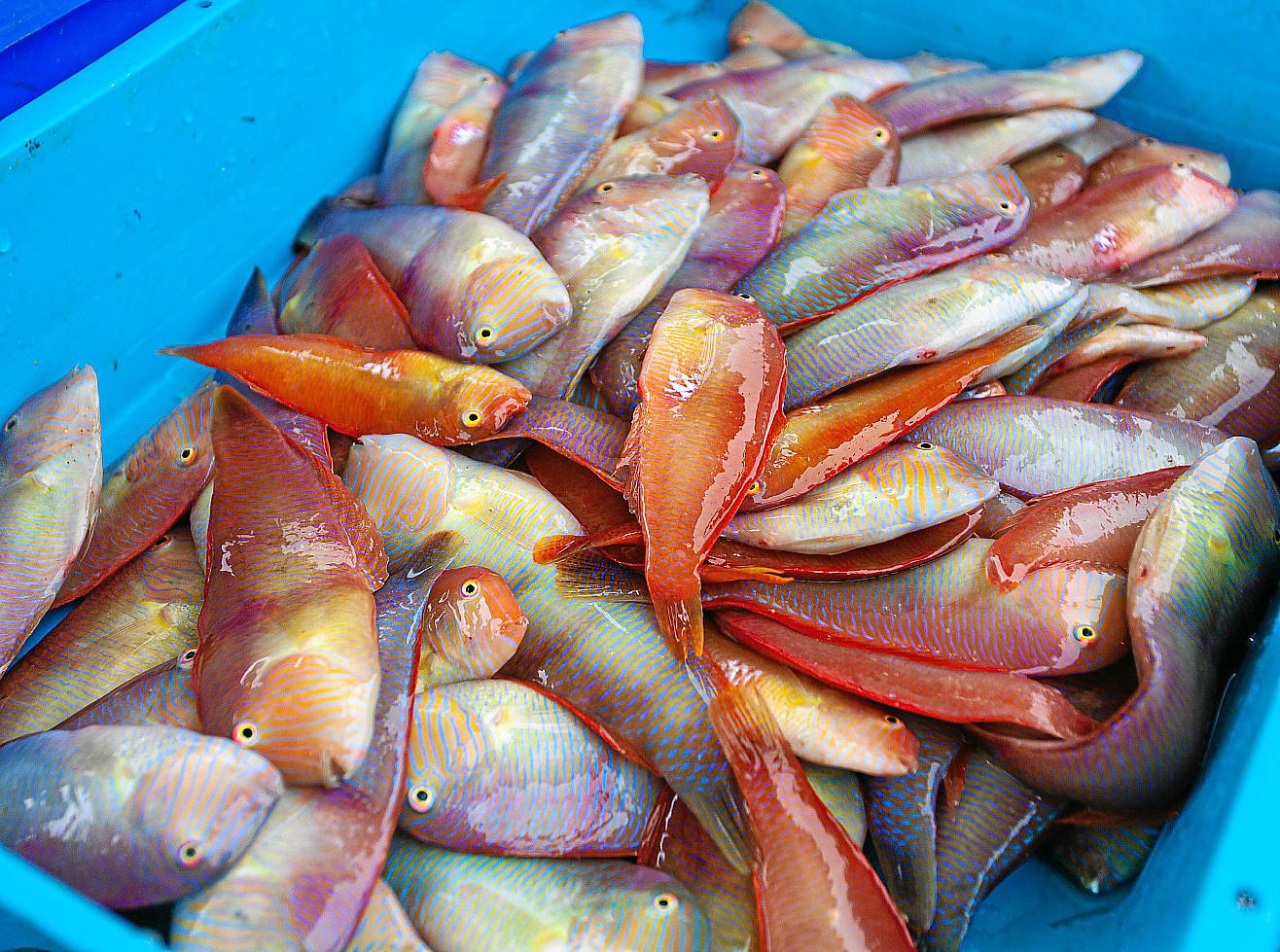 Raor season off to a super start