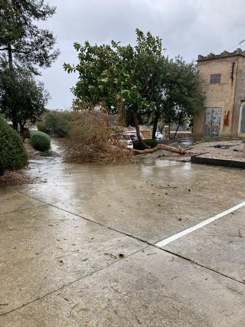 Photo gallery: Freak storm hits Mallorca