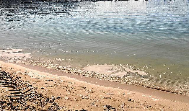 Mallorca environment: Warning about new Puerto Pollensa contamination
