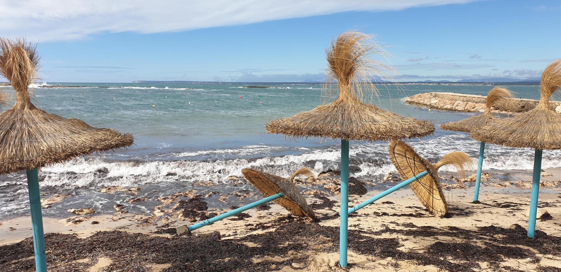 Climate change is affecting Majorca