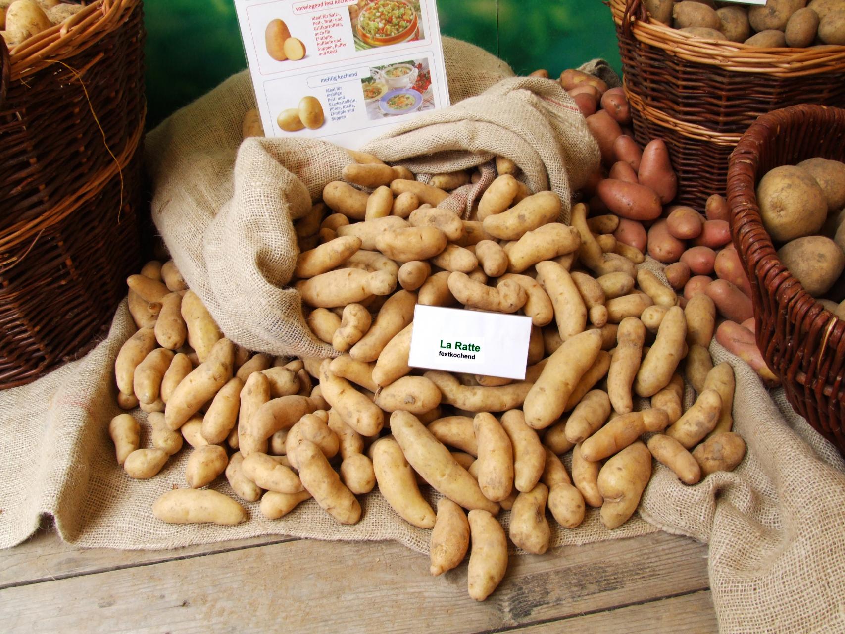 La Ratte Kartoffeln