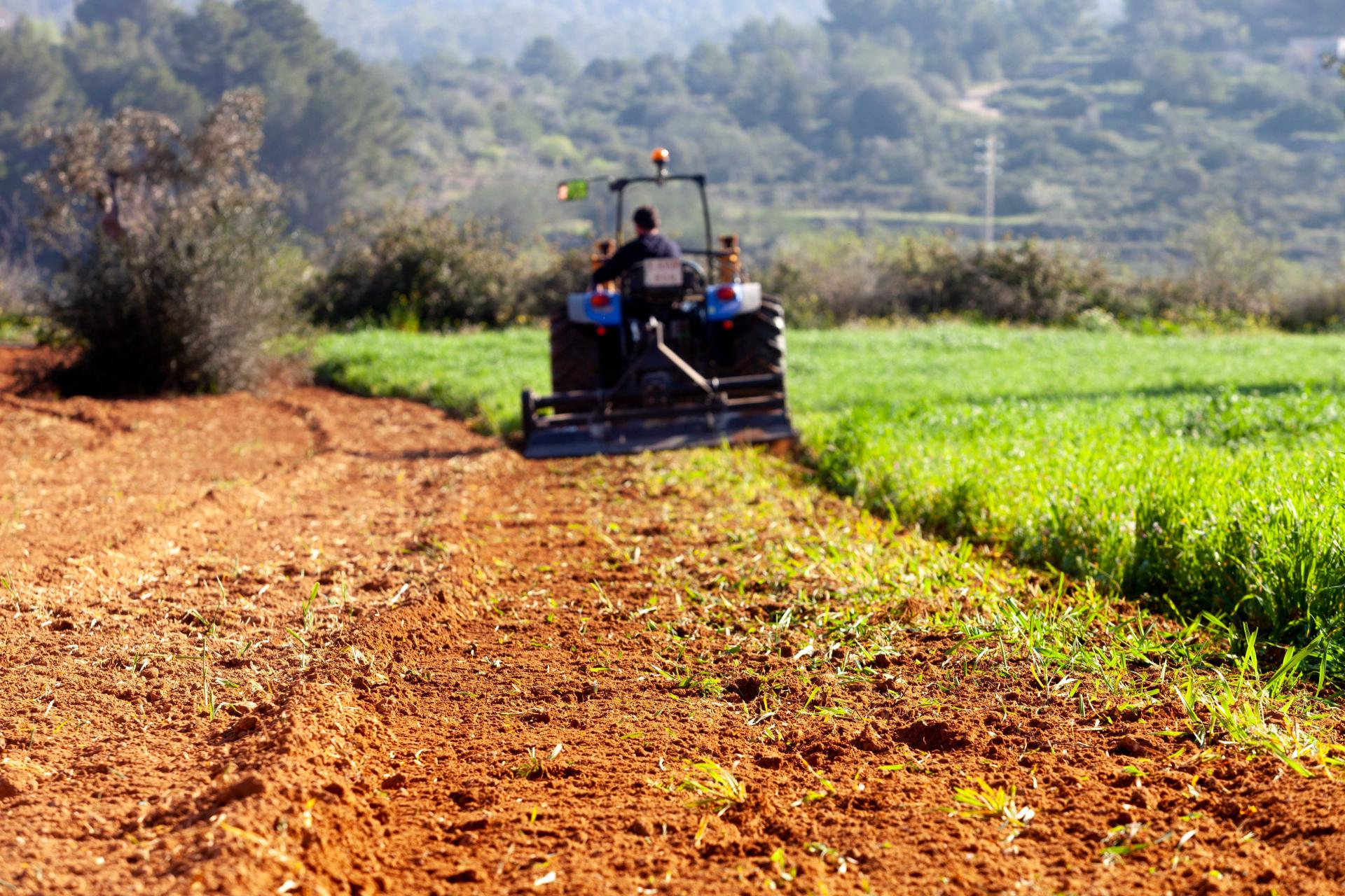 los inconvenientes de la comida de milla cero – Contacto Cultura