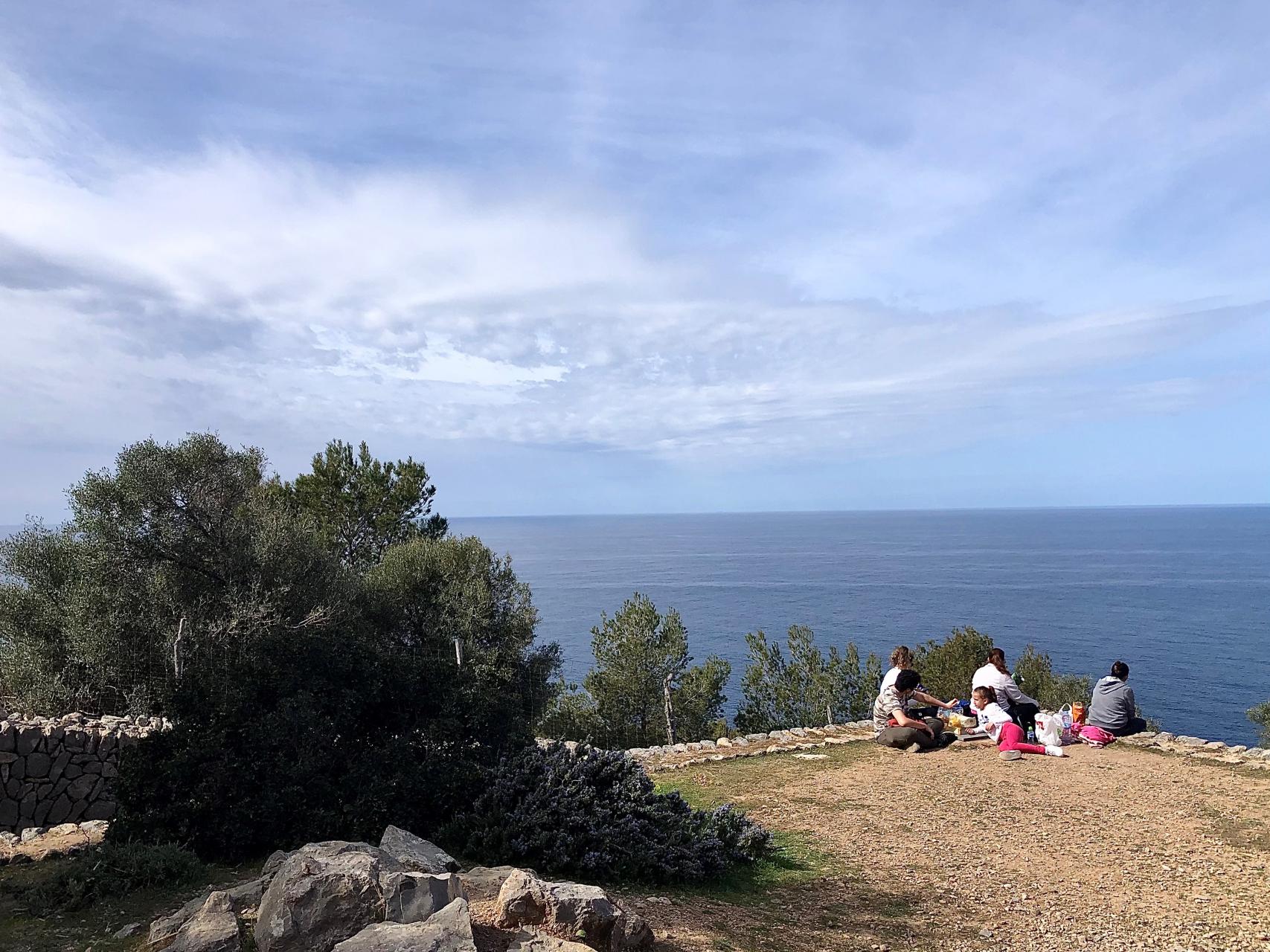 Local news from the Soller Valley