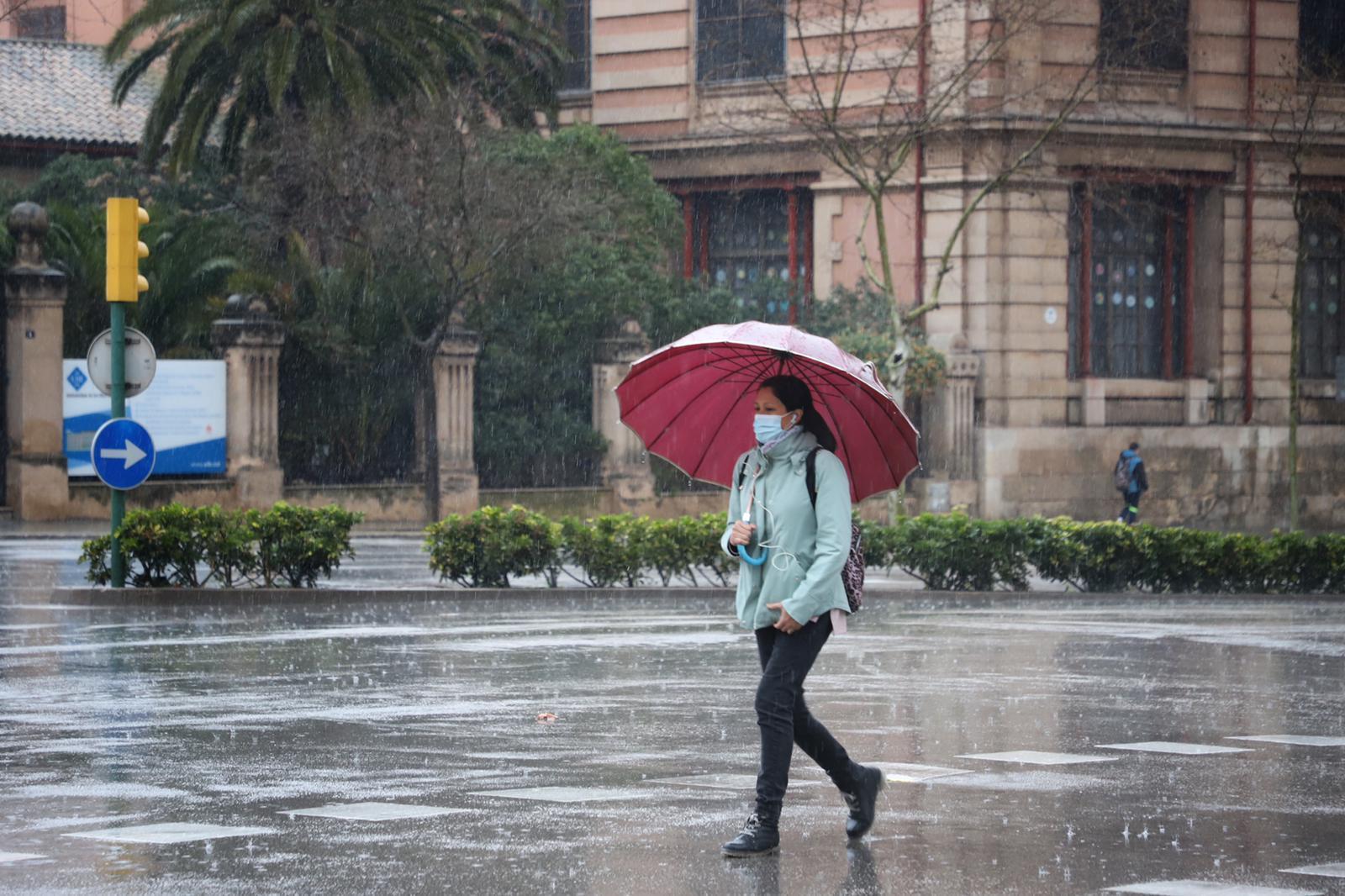Mallorca weather: Rainfall since October has been above average