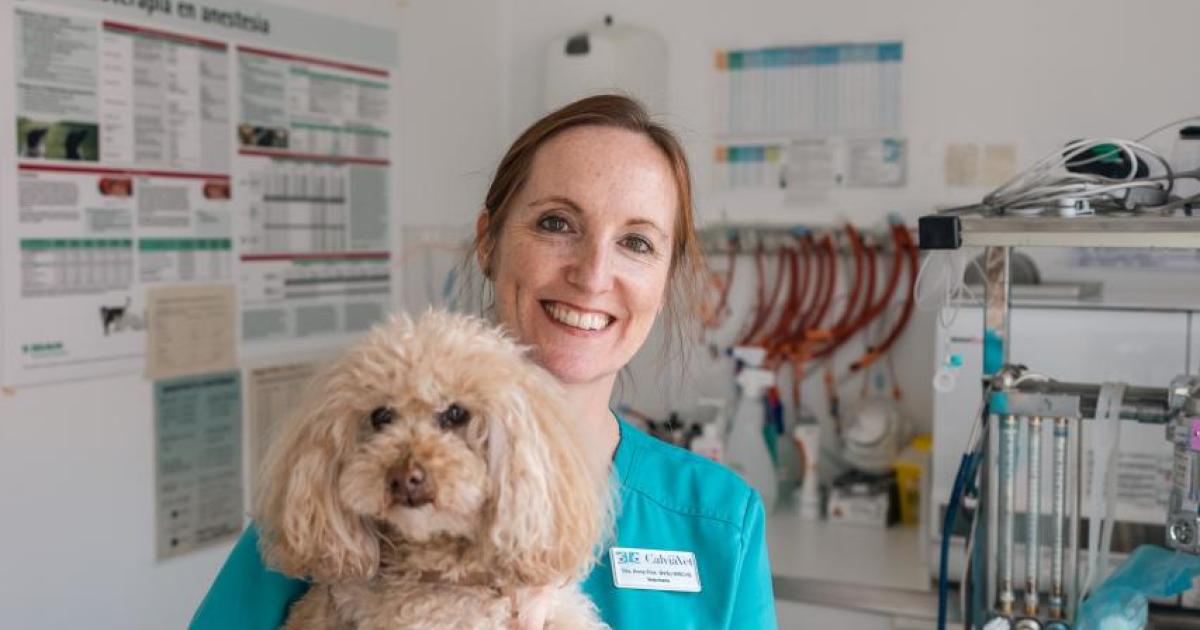 At home with Dr Anna Pink