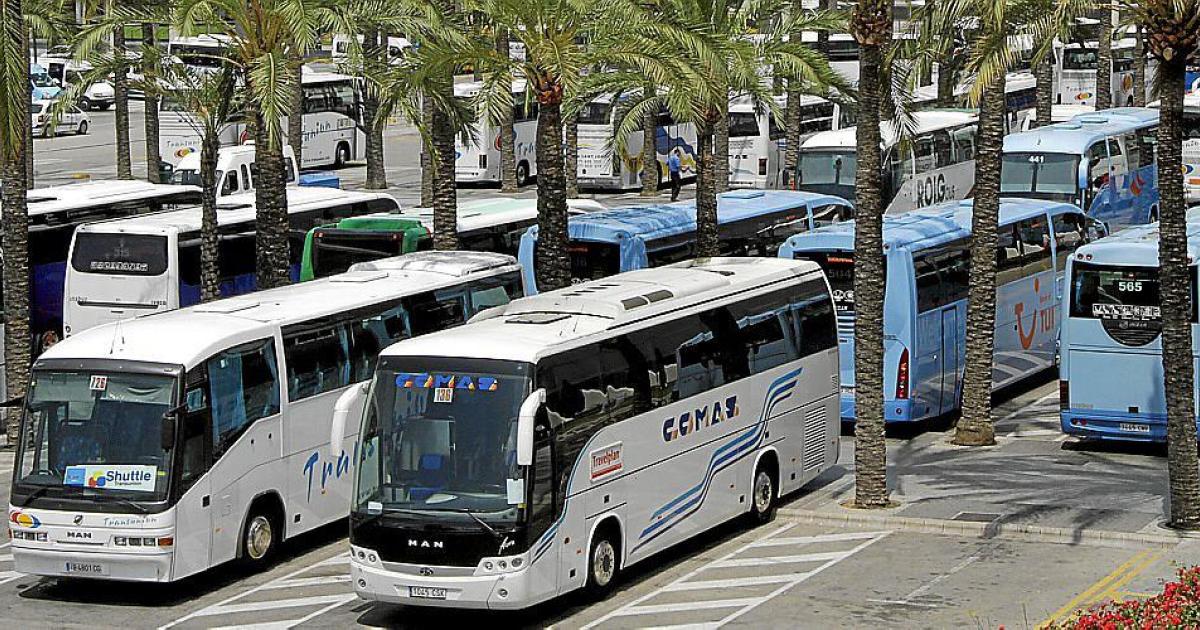 Mallorca transport: Call to lower age to drive coaches