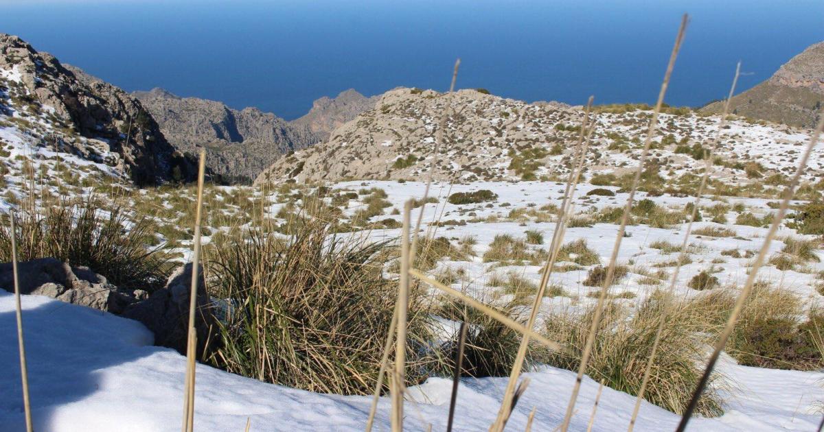 Mallorca's weather for Monday, February 6