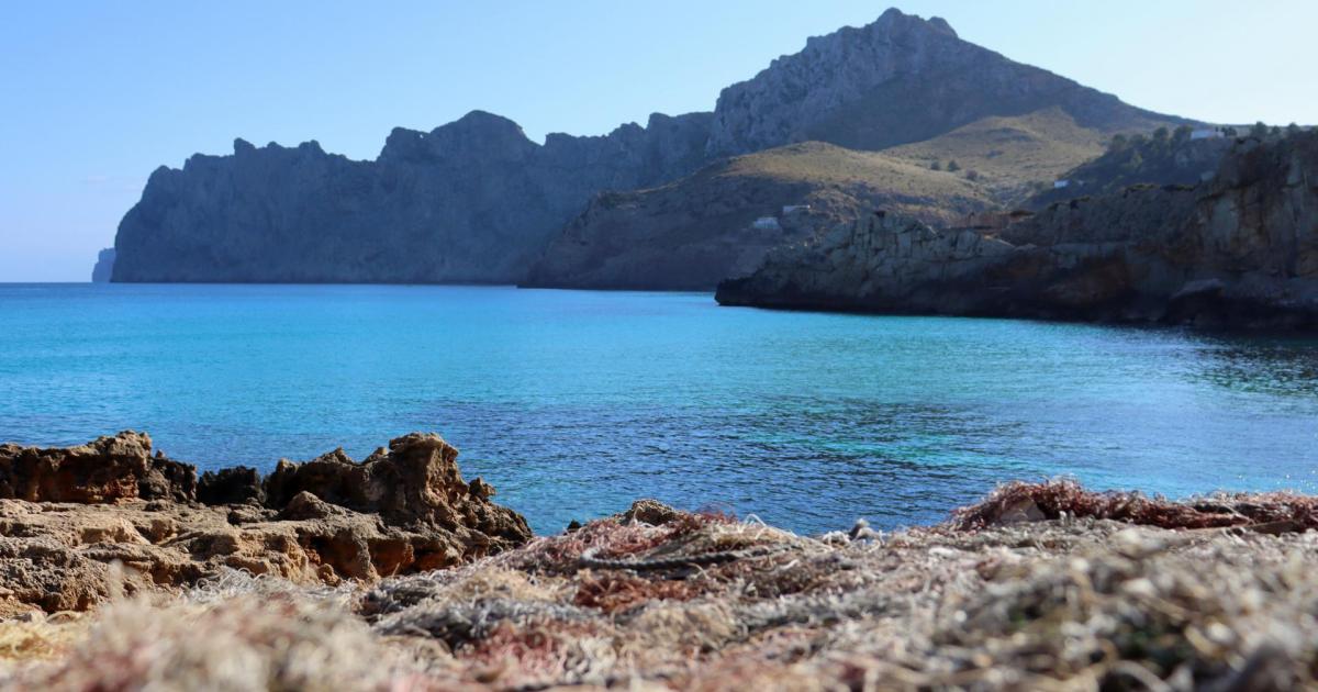 Mallorca's weather for Friday, February 10