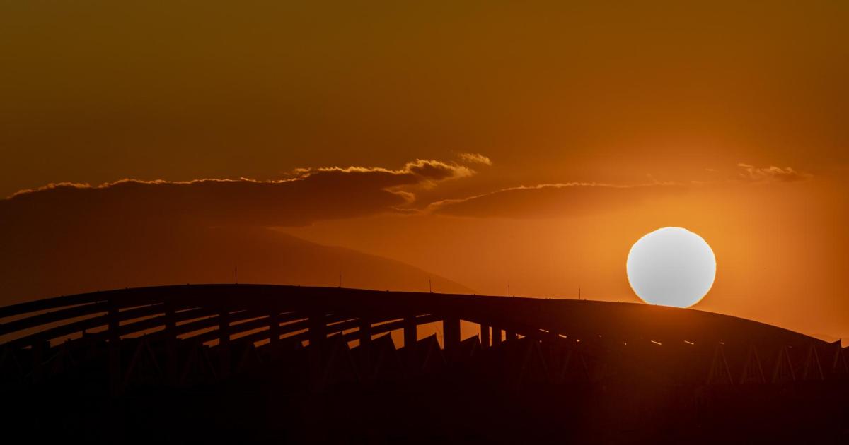 Intense heat wave heading for Mallorca next week: highs of 35ºC