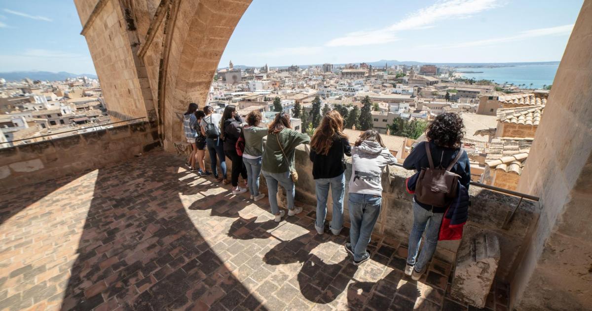 Visit Palma: Enjoy a bird's eye view from Palma's Cathedral