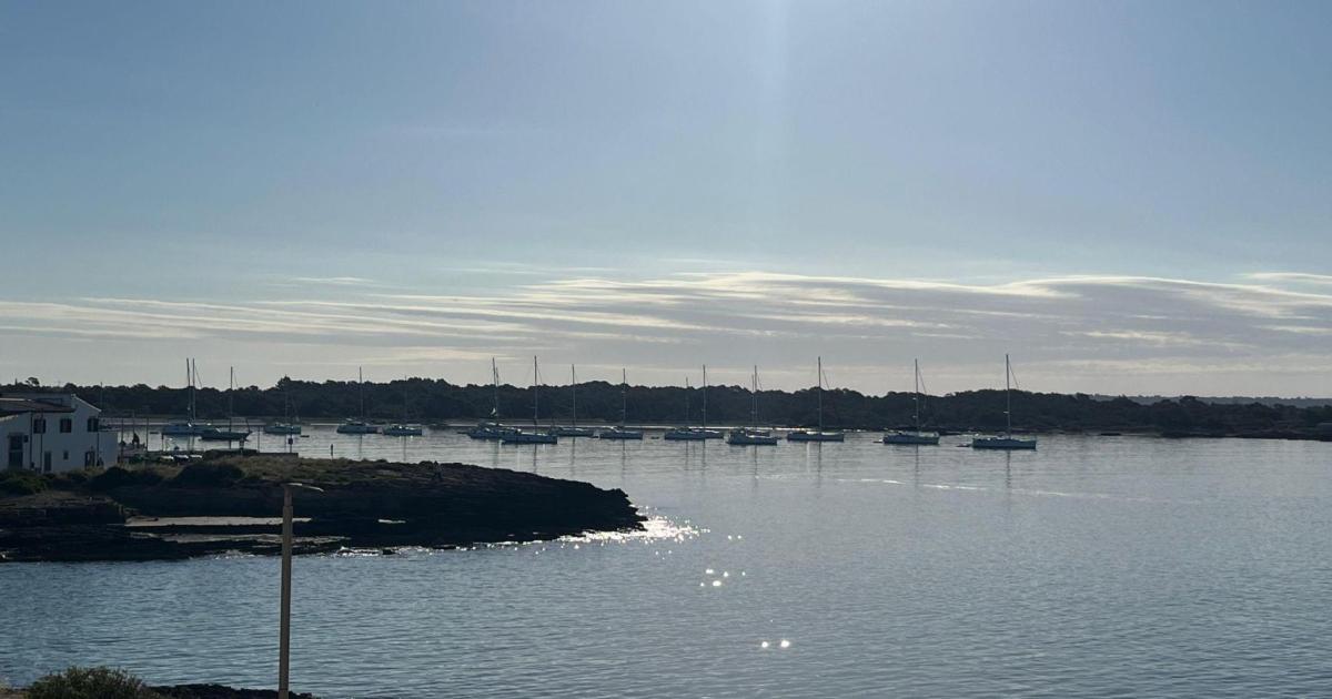 Mallorca nautical: Party boat skippers don't know maritime regulations