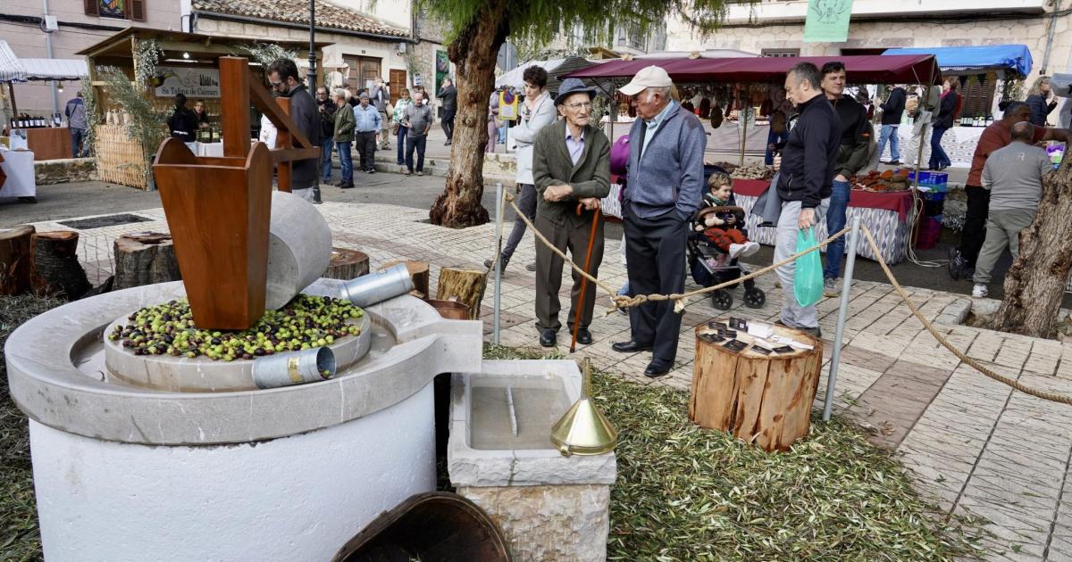 The olives and charcoal of Caimari