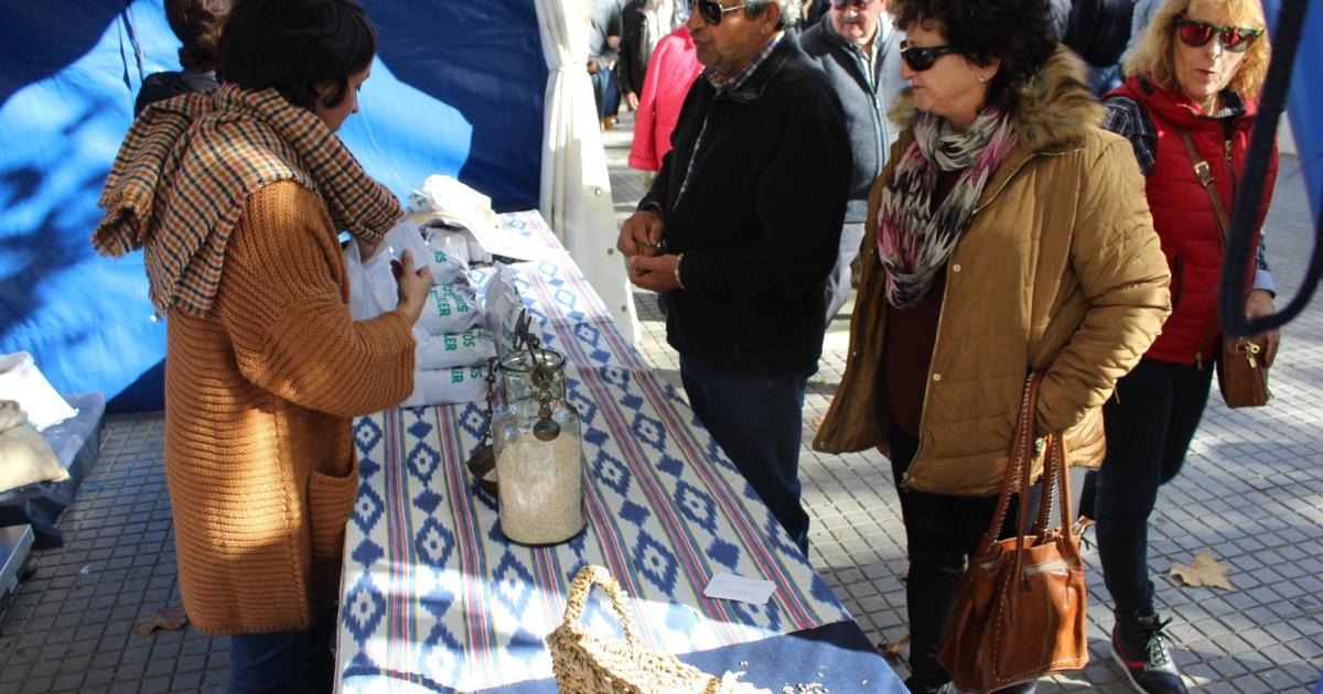 A thousand years of rice in Sa Pobla