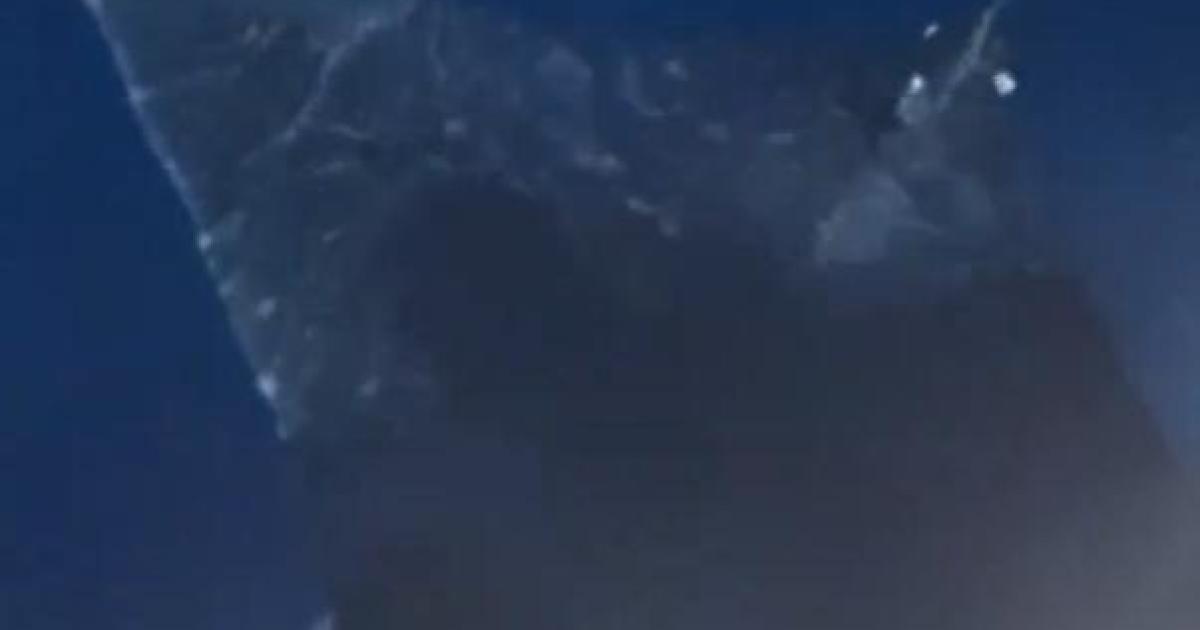 Mallorca sea creatures: stingray appears in waters of Soller