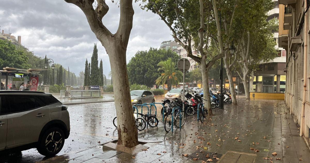 Photo gallery: Heavy showers and storms hit Mallorca